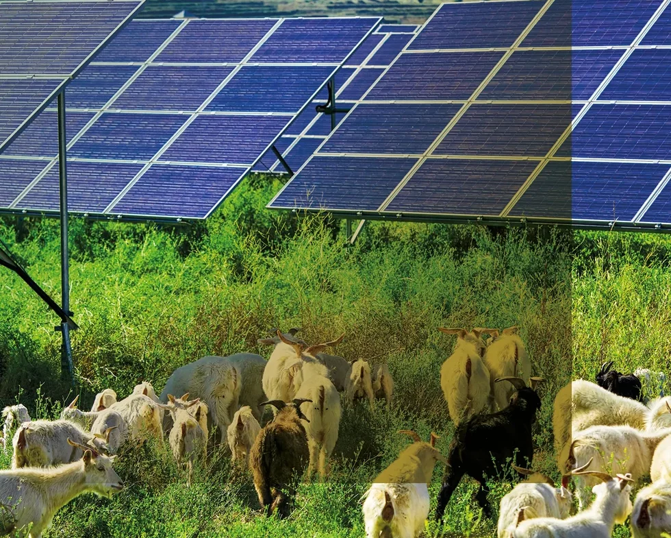 Call for Solutions - Enhance the Efficiency and Environmental Impact of ...